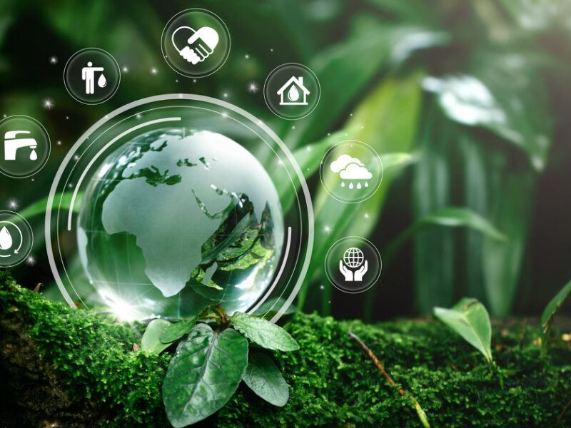 Equal Partners: Law for better living